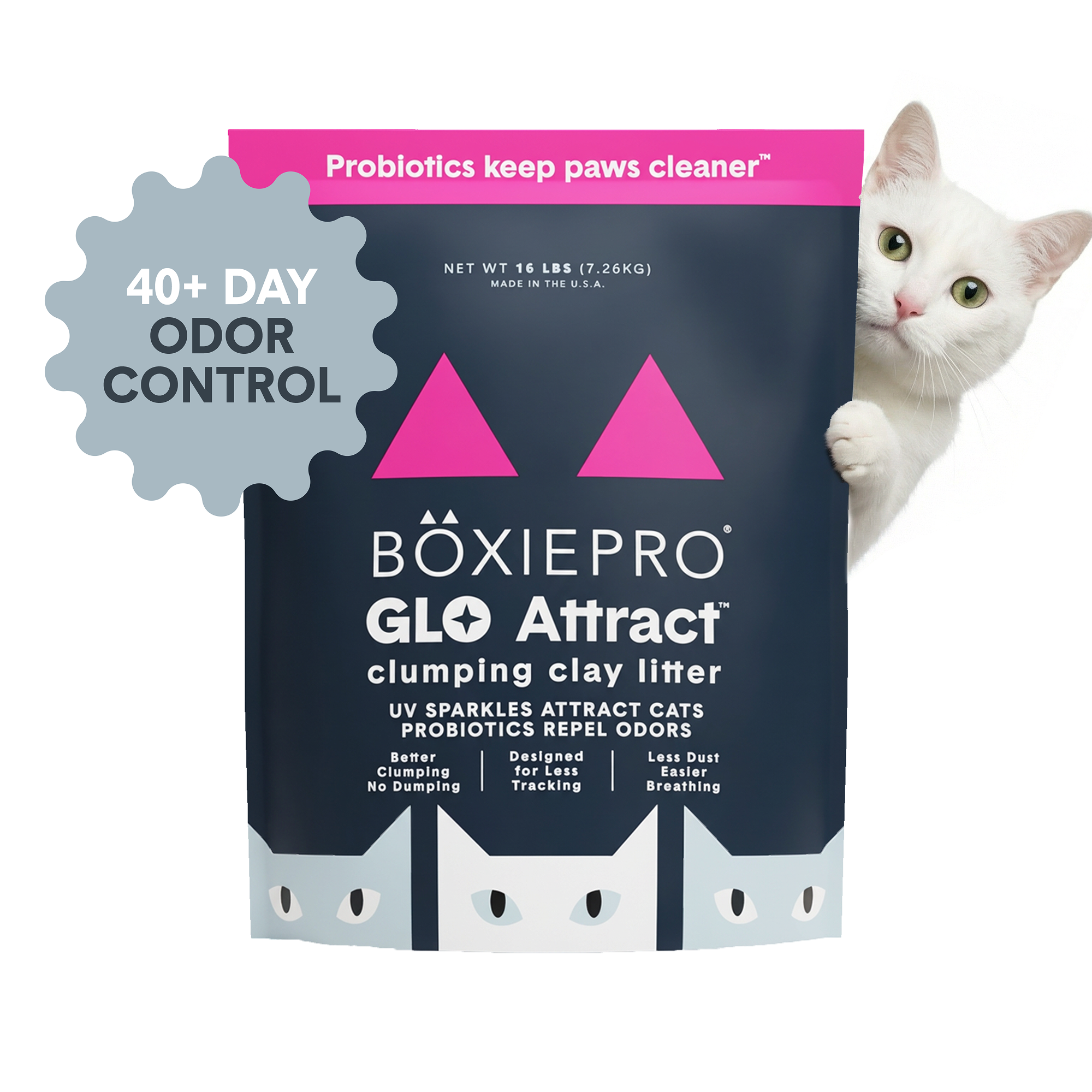 Cat-Attracting, Clumping Litter | Glo Attract™ Clay Cat Litter – Boxie