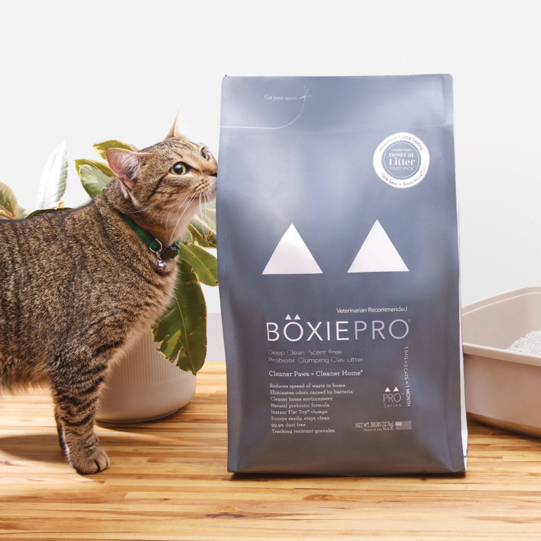 Our Story – Boxie