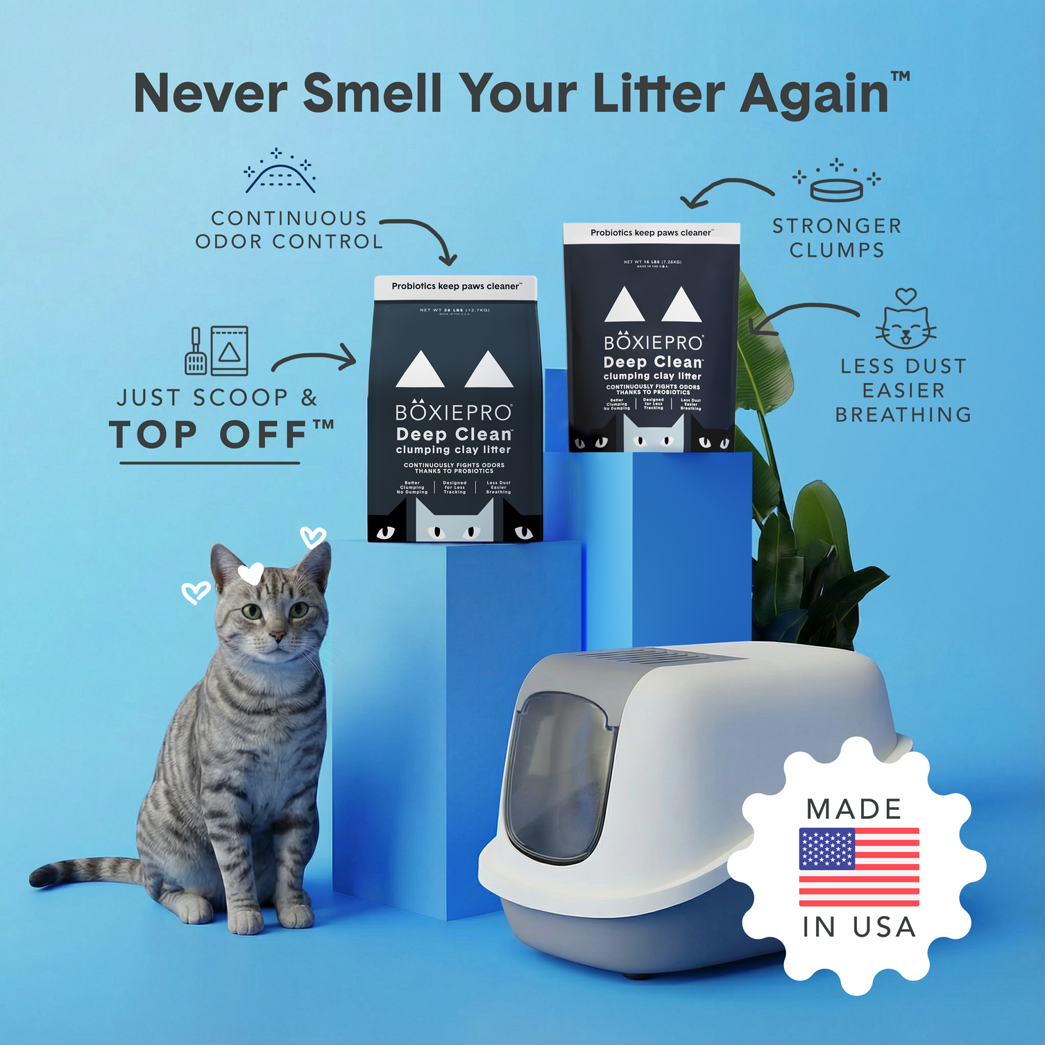 Self Cleaning Probiotic Cat Litter | 40-Day Odor Control – Boxie