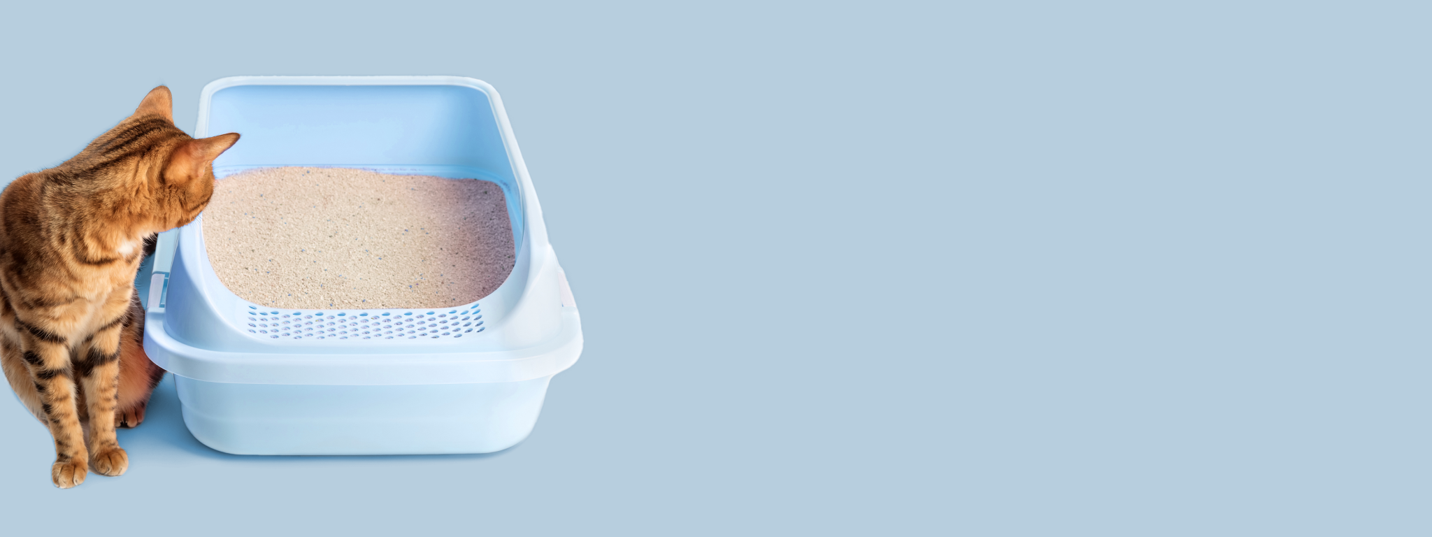Boxie® Litter Guide Boxie® Litter Guide